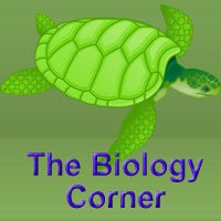 The Biology Corner – STEMfinity