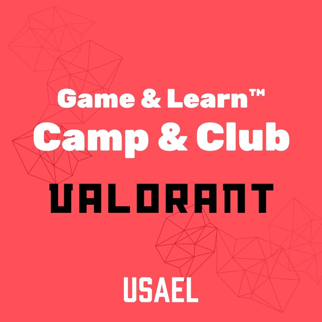 STEMfinity | Game & Learn Academic Camp/Club Valorant | Mastery Coding