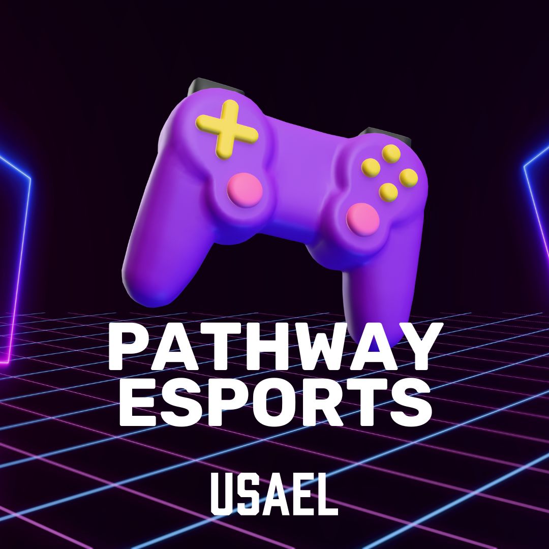 STEMfinity | USAEL Pathway Esports Program | Mastery Coding