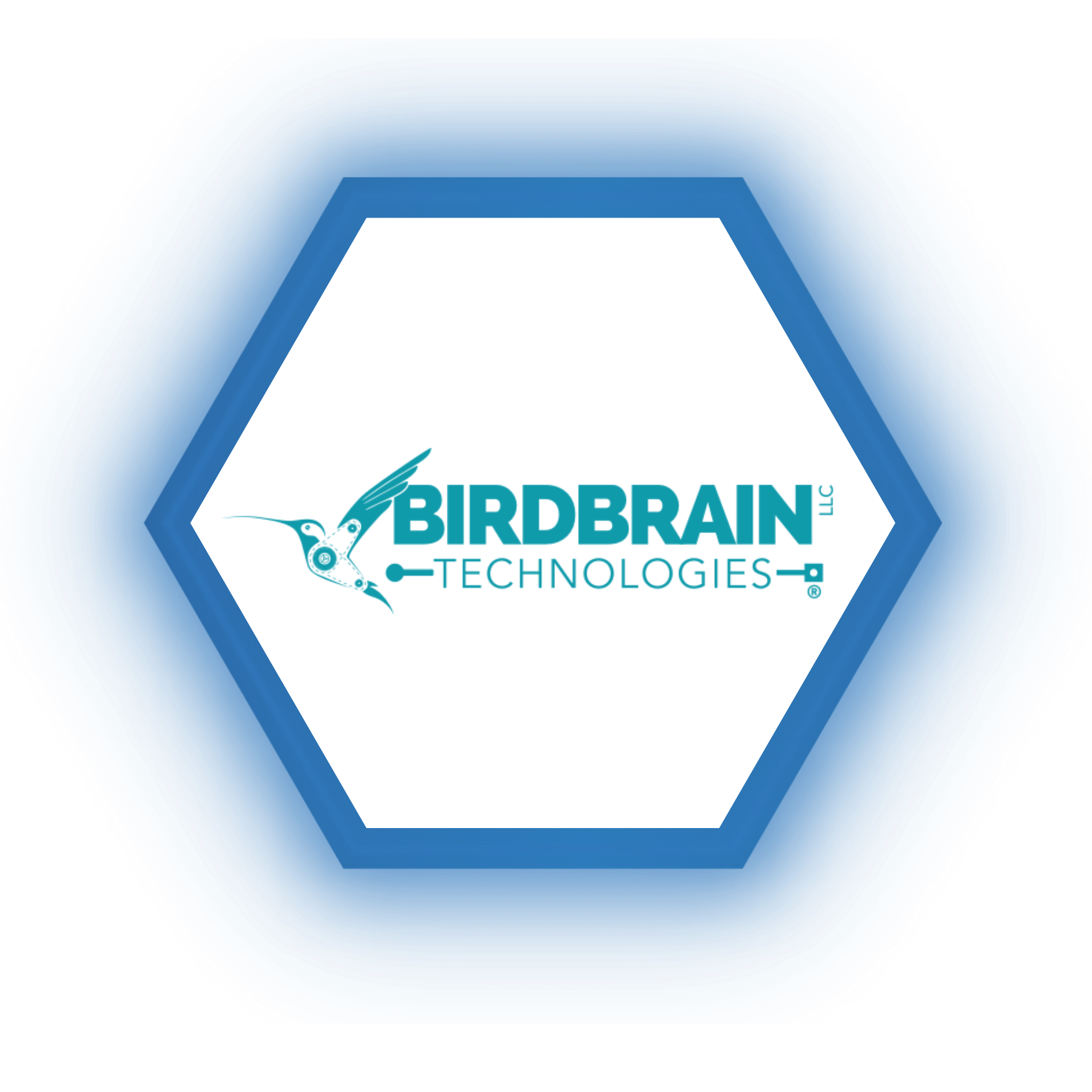 Birdbrain Technologies: Classroom robotics kits backed by research ...