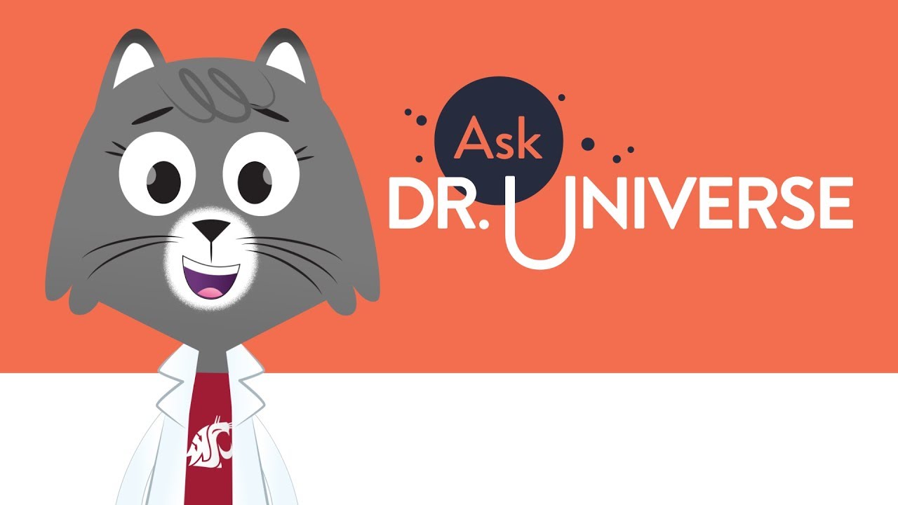 Ask Dr. Universe – STEMfinity