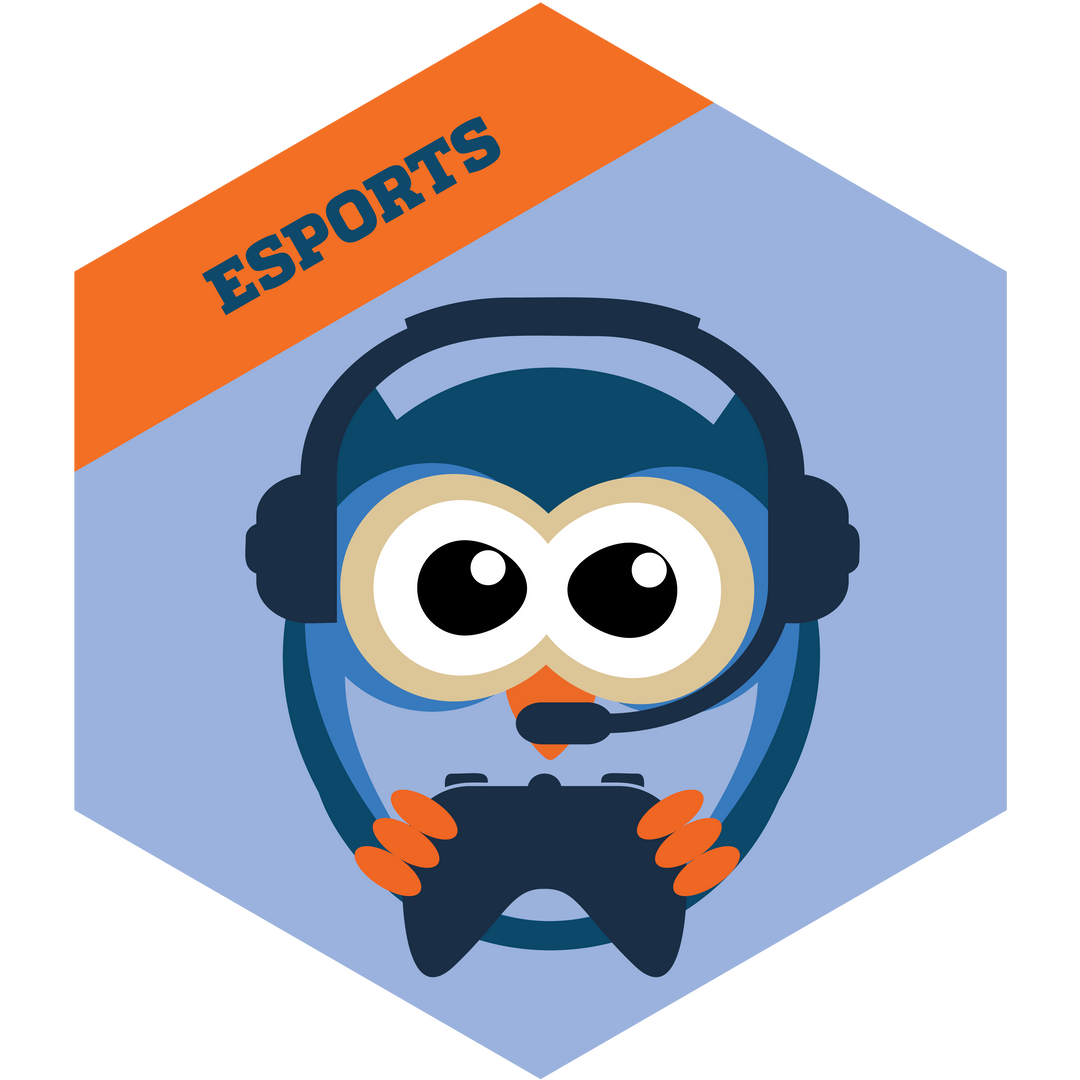 eSports / Gaming – STEMfinity