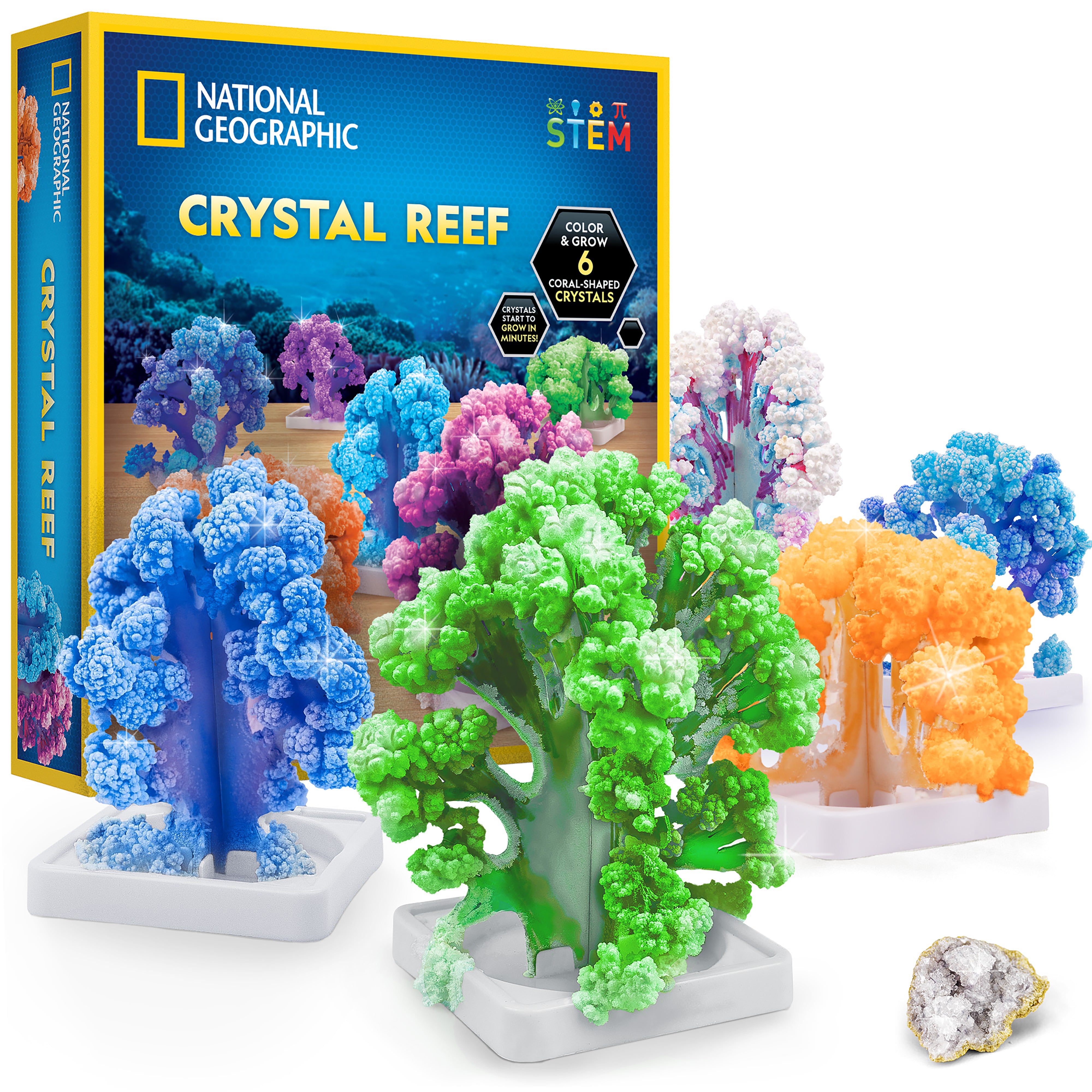 National Geographic: Crystal Reef | STEMfinity
