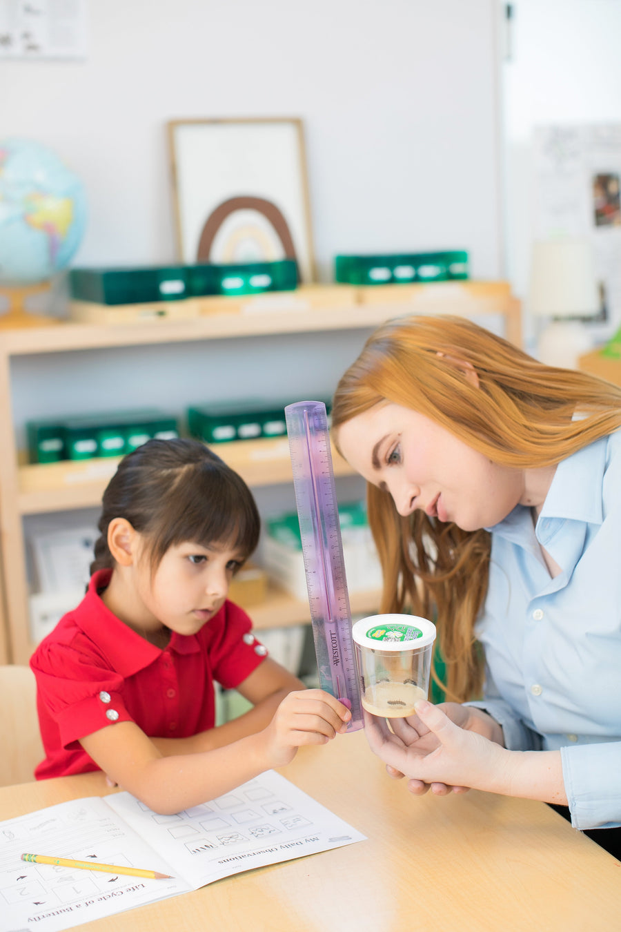 Insect Lore Butterfly Garden Kit with Two LIVE Cups of Caterpillars pl ...