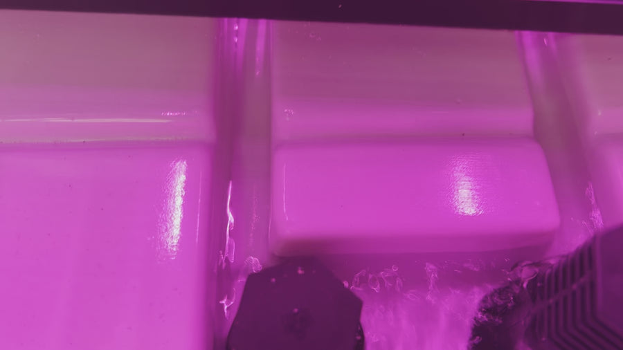 STEMfinity | School Hydroponics Grow Rack - Full Rack | Science