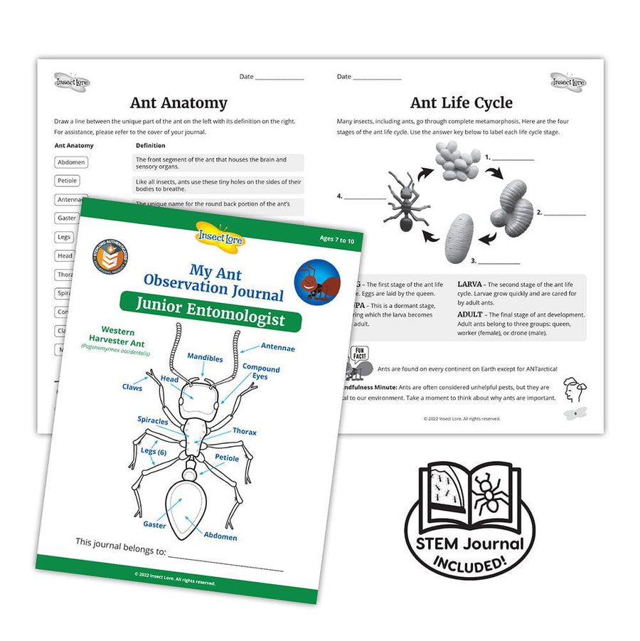 STEMfinity | Insect Lore | Animal Science