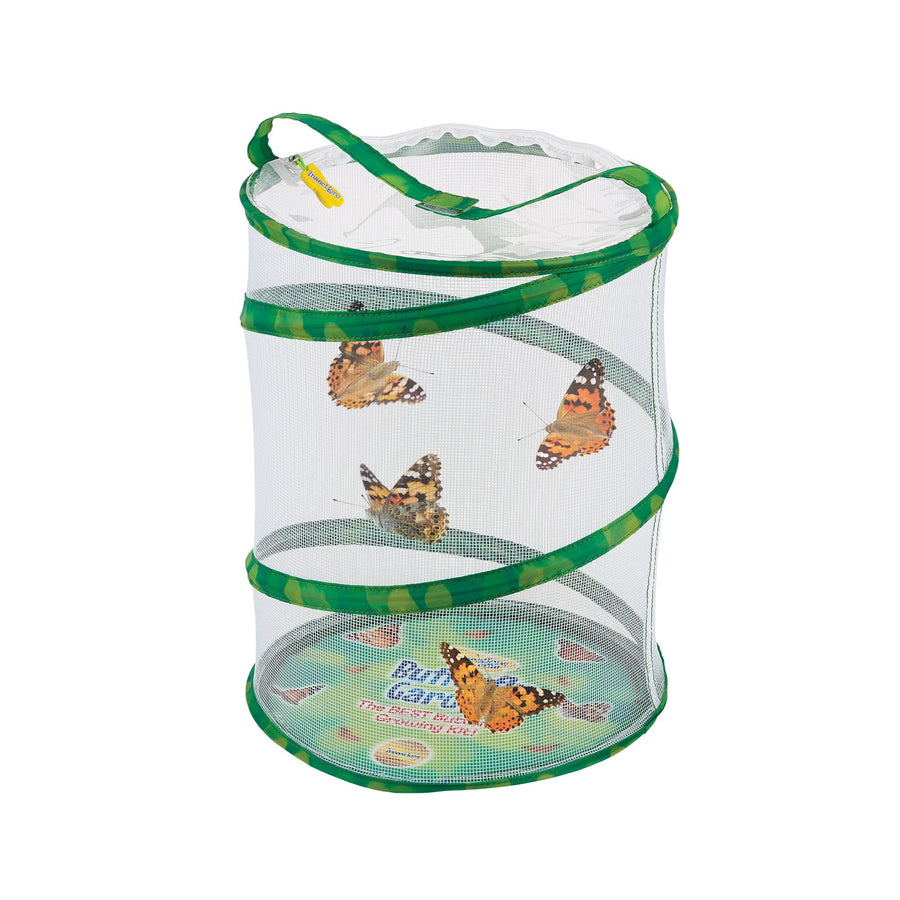 Insect Lore Butterfly Garden Kit with Two LIVE Cups of Caterpillars pl ...