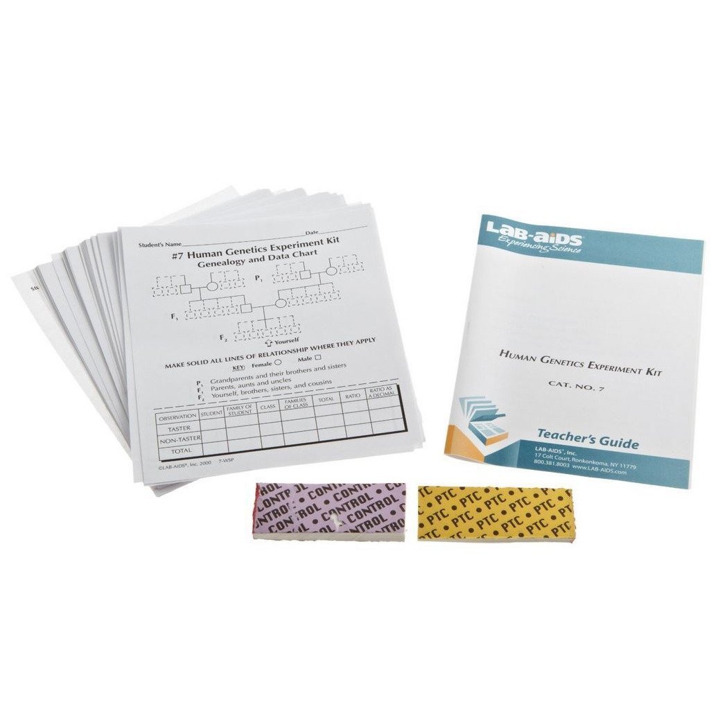 Human Genetics Experiment Kit | Lab-Aids | STEMfinity