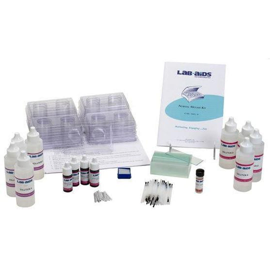 Normal Mitosis Refresh-A-Kit | Lab-Aids | STEMfinity